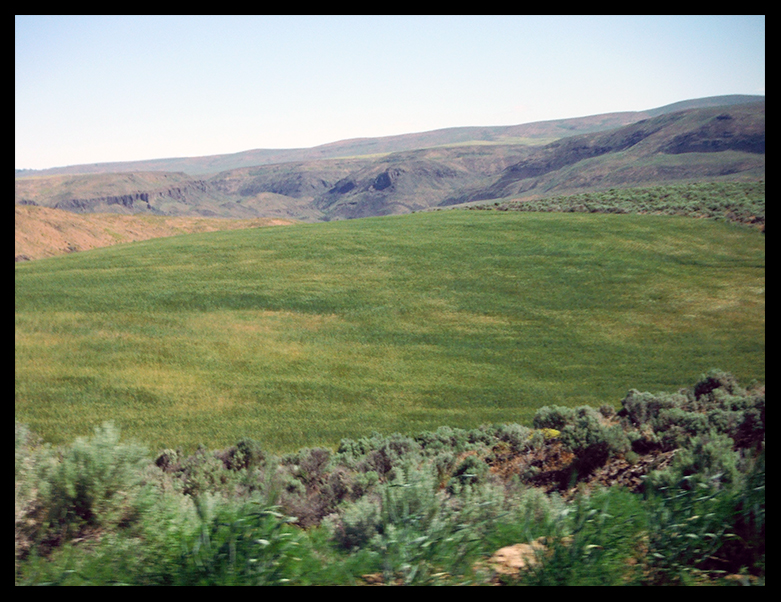 protected habitat for greater sage-grouse